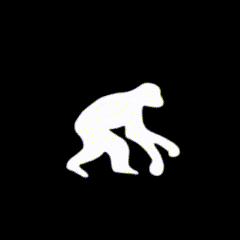 Homo Memetus - HackQuest